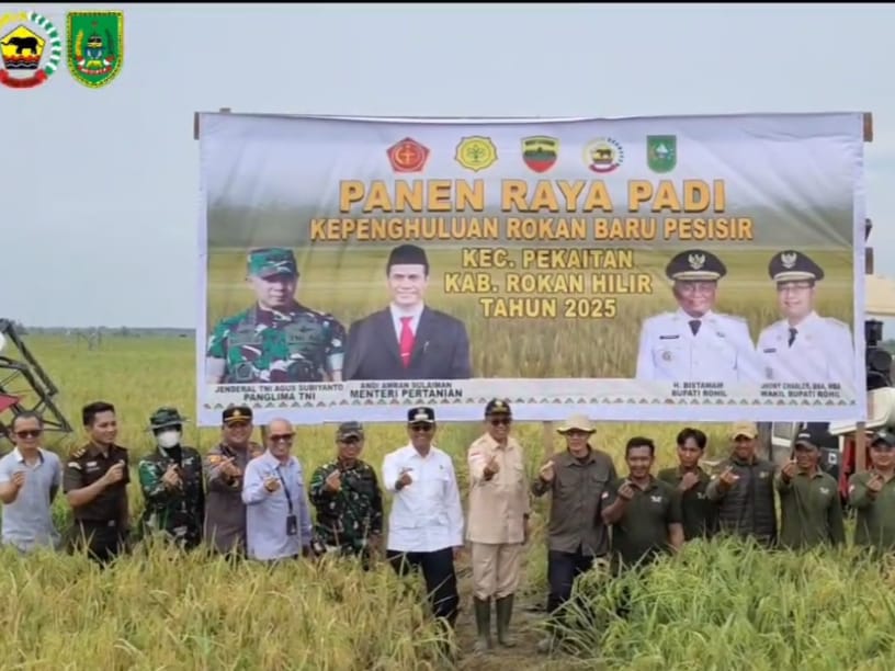 Dandim 0321/Rohil Bersama Bupati Rohil Panen Raya dan Tanam Padi di ...