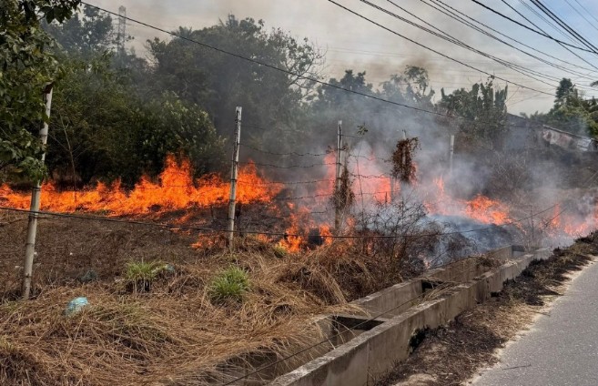 Suhu Panas Ekstrem Sebabkan Titik Api Meningkat, Empat Lahan di ...