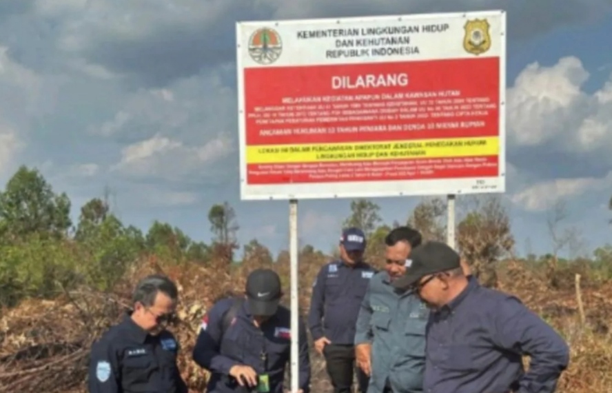 KLHK Segel 15 Hektare Lahan HPK Terbakar di Desa Karya Indah Kampar