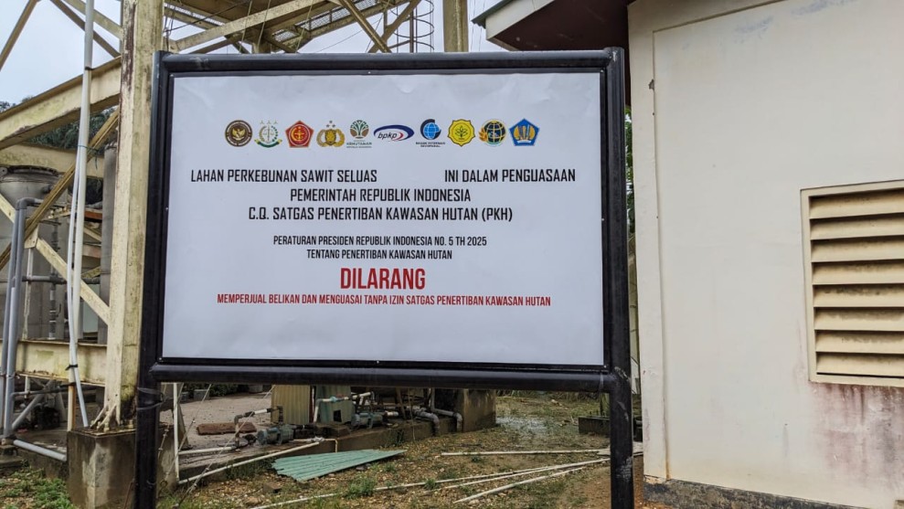 Perkebunan Kelapa Sawit 4.000 Hektar di HPT Sumpu Disegel Satgas PKH
