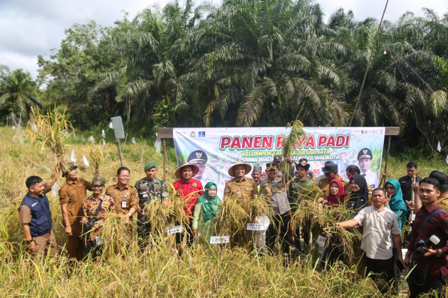 Pemko Pekanbaru Optimalkan Pemanfaatan Lahan Kosong untuk Tanam Padi ...