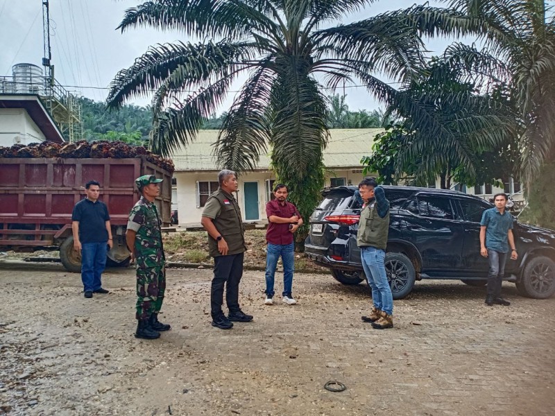 Satgas PKH, Jangan Tebang Pilih! Segel Semua Kebun Sawit Ilegal di Hulu Kuantan