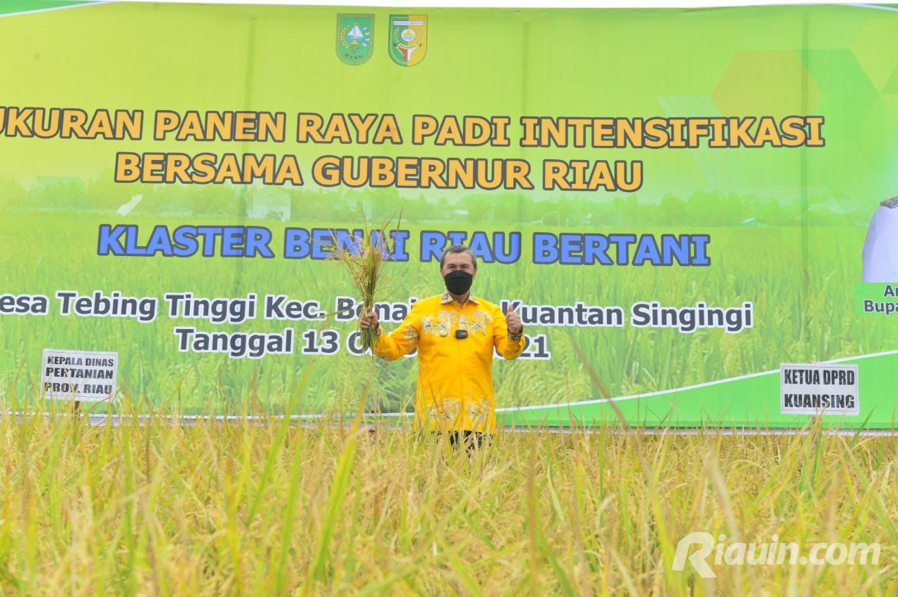 Tiga Tahun Syam-Edy Nilai Tukar Petani Terus Meningkat, Ini Programnya
