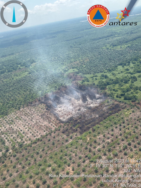 Karhutla di Riau Hanguskan 1.146 Hektar Lahan, Terluas di Bengkalis